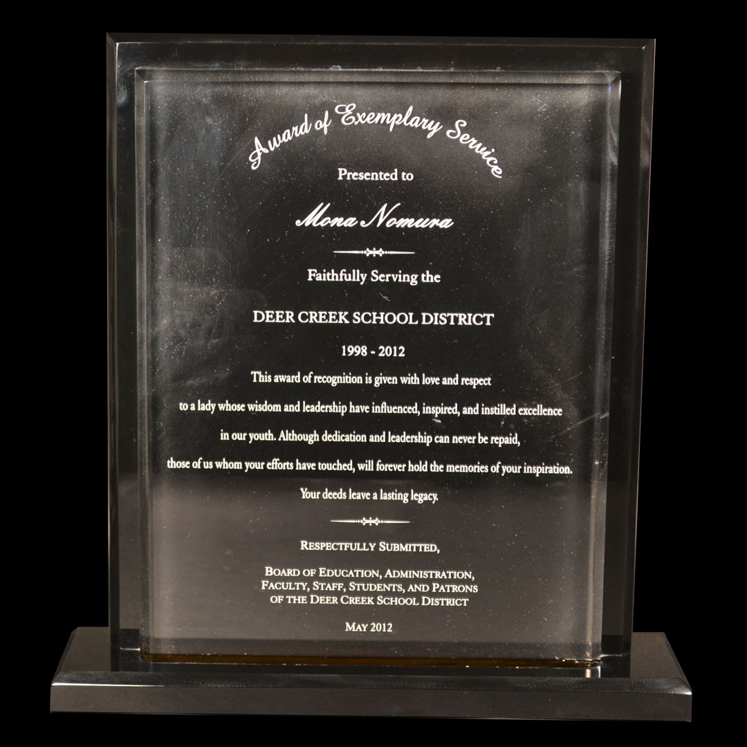 Inclusion of People with Intellectual Disabilities in the Workforce - DRTC